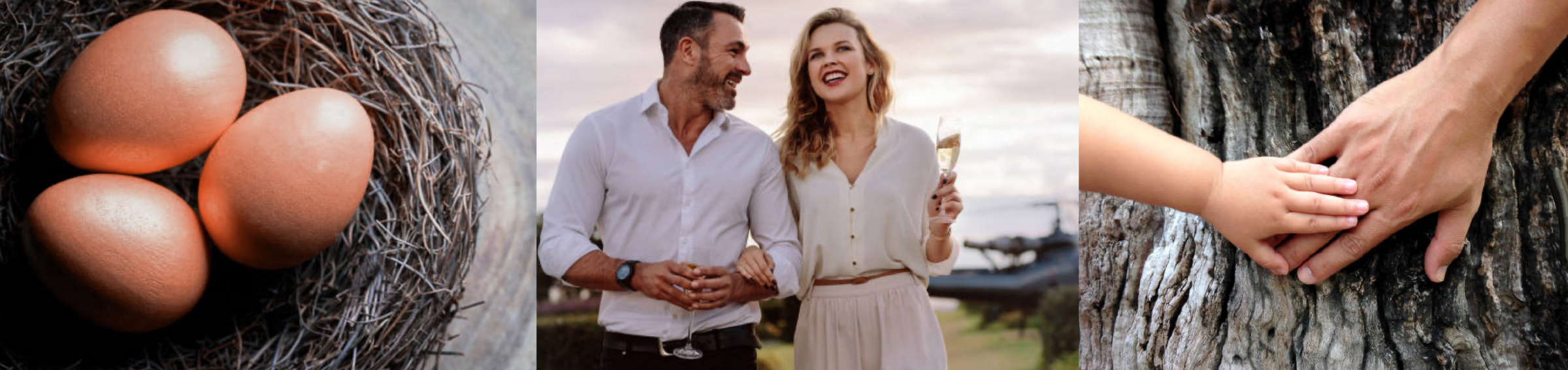 How It Works - Primestone Projects